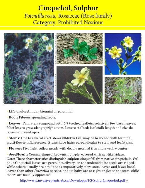 Permission granted by e-m