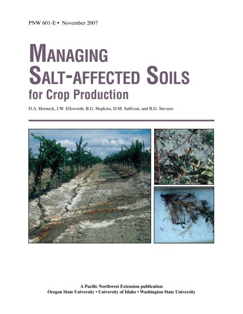 Managing Salt-affected Soils for Crop Production - Oregon State ...