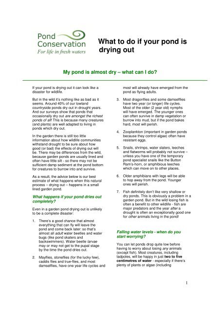 What to do if your pond is drying out - Pond Conservation