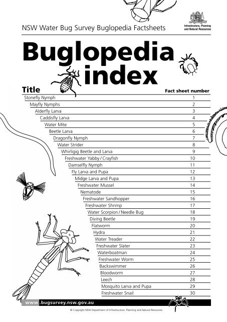 NSW Water Bug Survey Buglopedia Factsheets - streamteam