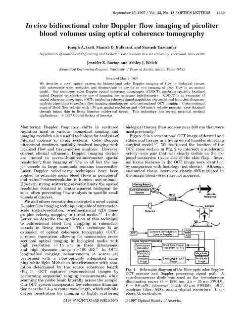 In vivo bidirectional color Doppler flow imaging of - Department of ...