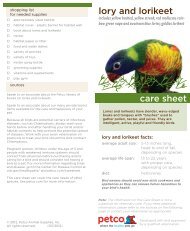 parakeet (budgie) care sheet - Petco