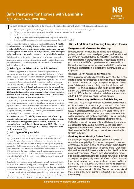 Safe Pastures for Horses with Laminitis - Kohnke's Own