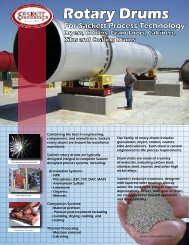 Bulk-Toter Conveyors - the AJ Sackett & Sons Company