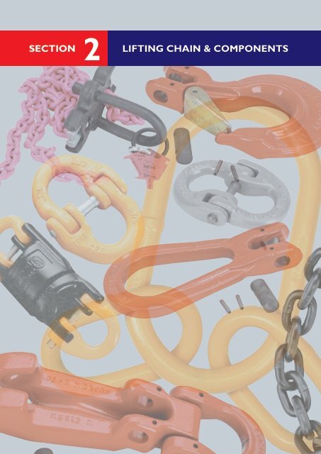 LIFTING CHAIN & COMPONENTS SECTION - Bridon