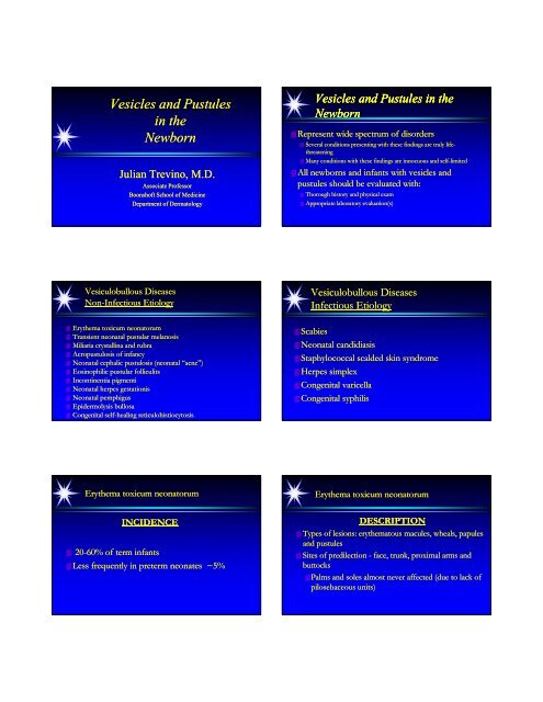 Vesicles and Pustules in the Newborn