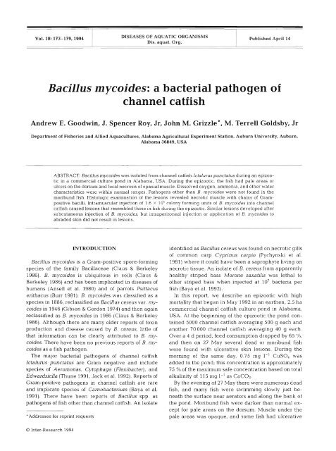Bacillus mycoides: a bacterial pathogen of channel ... - Inter Research