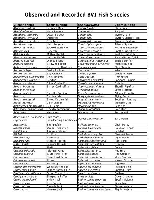 Observed and Recorded BVI Fish Species