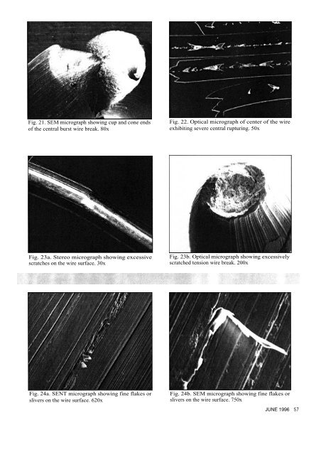 Fig. 21. SEM micrograph s