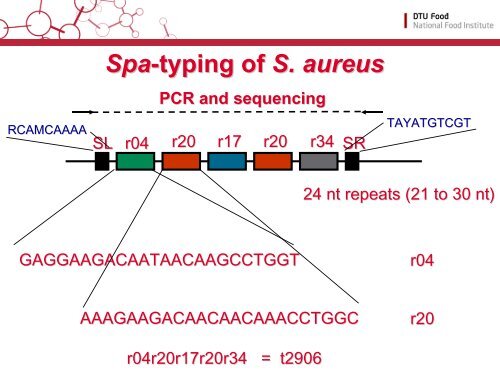 RCAMCAAAA Spa-typing Spa