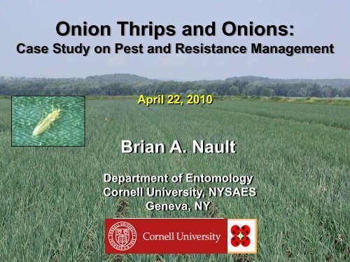 Onion Thrips and Onions Case Study on Pest - Biopesticide Industry ...