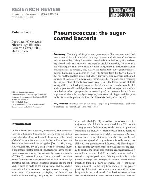Pneumococcus: the sugar- coated bacteria - International Microbiology