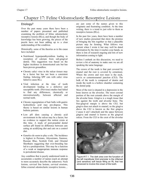 Feline Odontoclastic Resorptive Lesions - Hale Veterinary Clinic