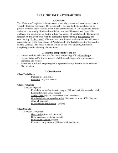 LAB 3. PHYLUM PLATYHELMINTHES 1. Overview The 'Flatworms ...