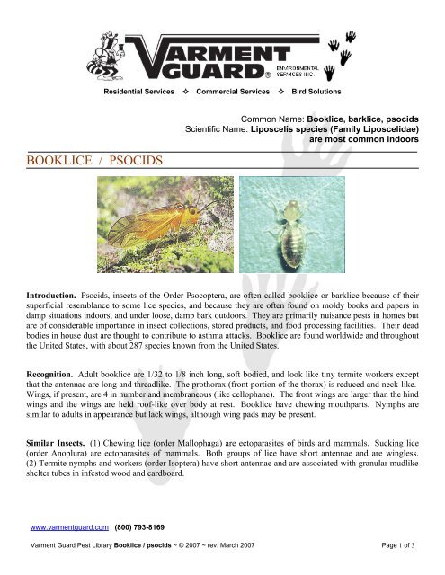 Booklice / Psocids - Varment Guard