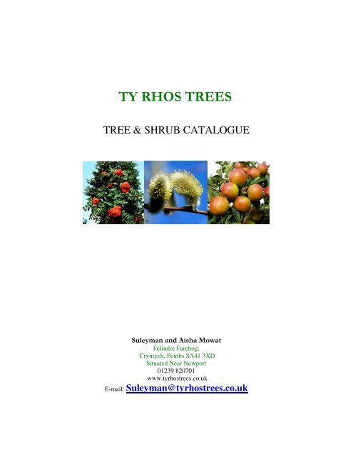 Main catalogue - Ty Rhos Trees