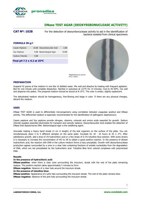 DNase Test Agar (Deoxyribonuclease activity) - Laboratorios CONDA