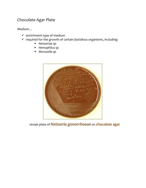 Chocolate Agar Plate streak plate of Neisseria gonorrhoeae
