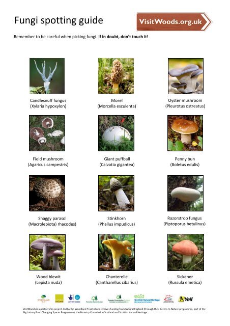 List Of Fungi Used In Agriculture
