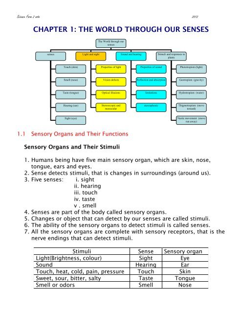 CHAPTER 1 THE WORLD THROUGH OUR SENSES - WordPress