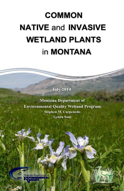 6 - INVASIVE SPECIES - Montana Natural Heritage Program