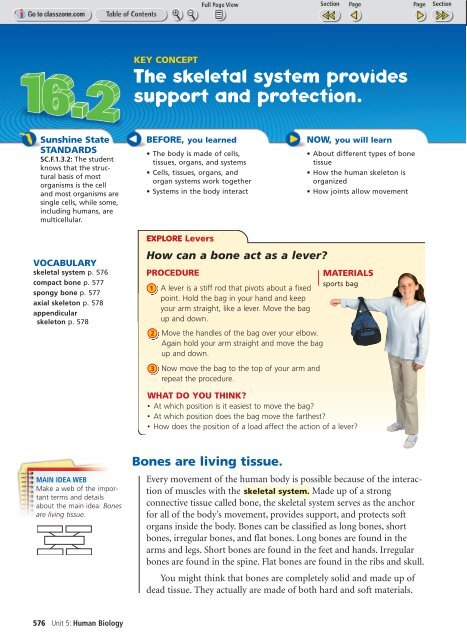 The skeletal system provides support and protection. - ClassZone