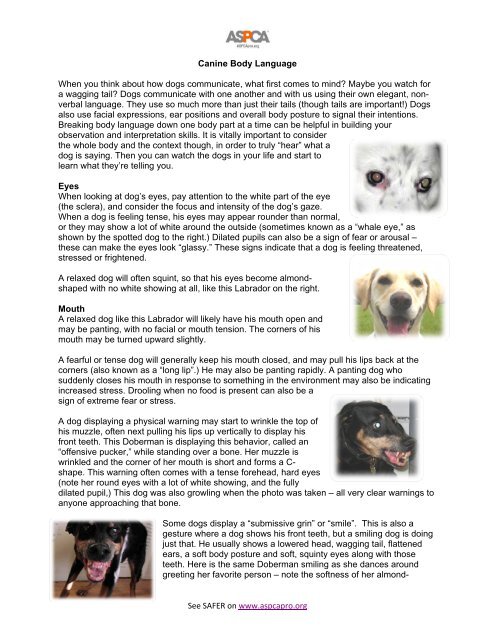 Body Language Handout