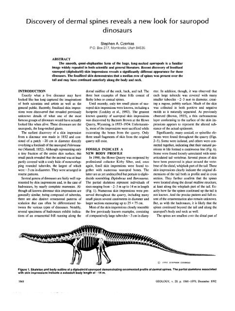 Discovery of dermal spines reveals a new look for sauropod