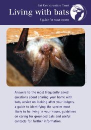 BAT CARER'S MANUAL - Bat Conservation & Rescue Qld Inc.