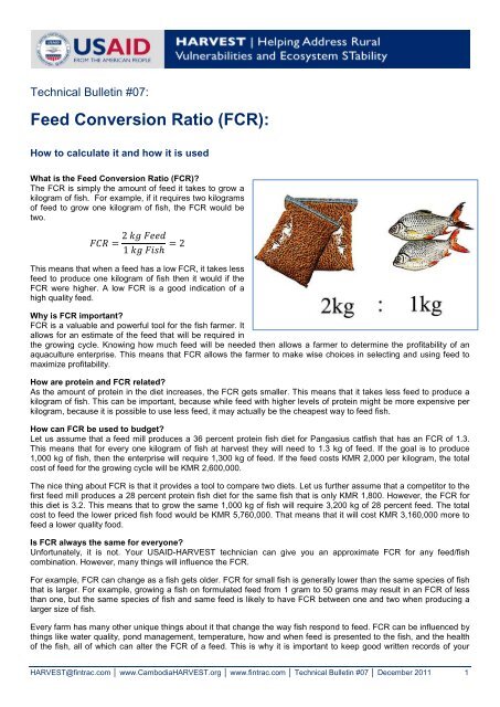 Feed Conversion Ratio (FCR): - Fintrac Inc. Feed Conversion Ratio (FCR): - Fintrac Inc.