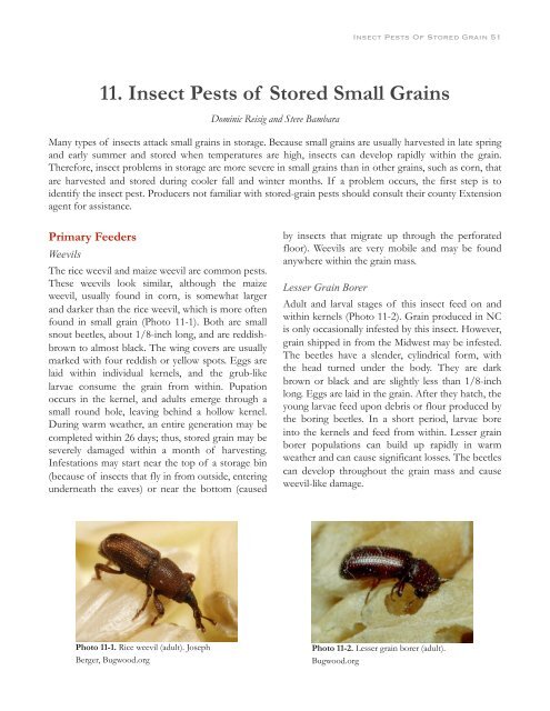 Web Insect Pests Stored Grain - North Carolina Small Grains ...