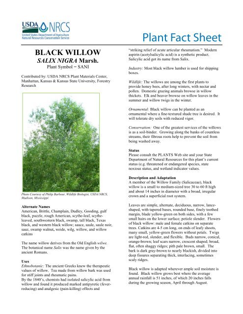 Black Willow Plant Fact Sheet - USDA Plants Database