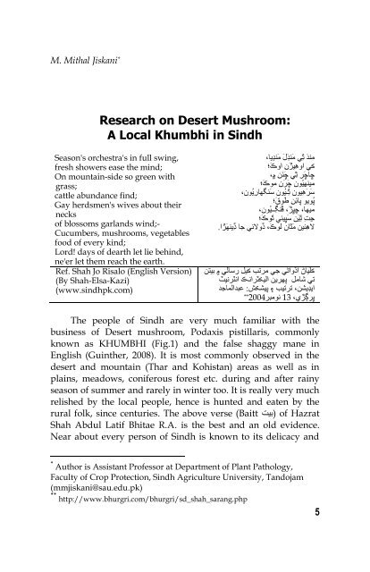 Research on Desert Mushroom: A Local Khumbhi in Sindh
