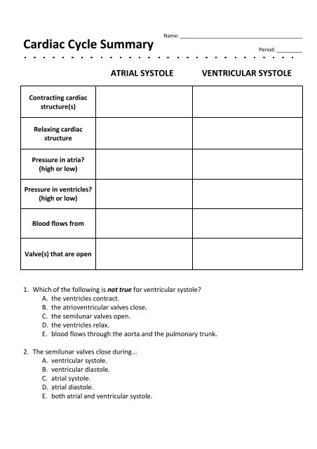 Cardiac Cycle Worksheet
