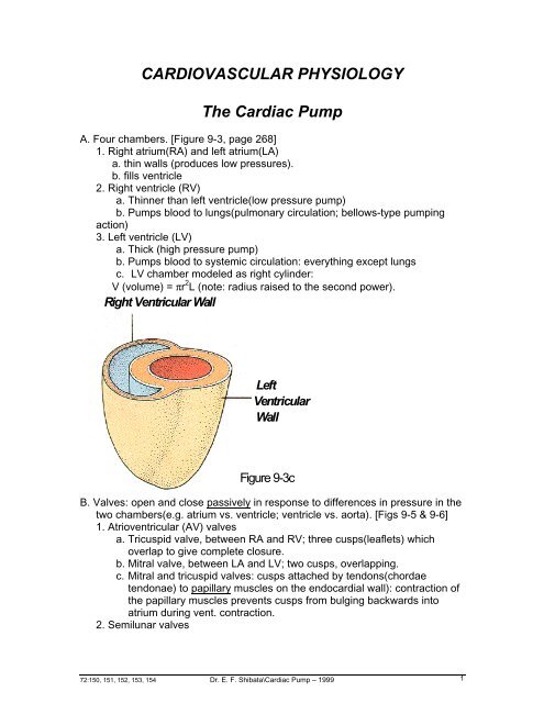 CARDIOVASCULAR PHYSIOLOGY The Cardiac Pump