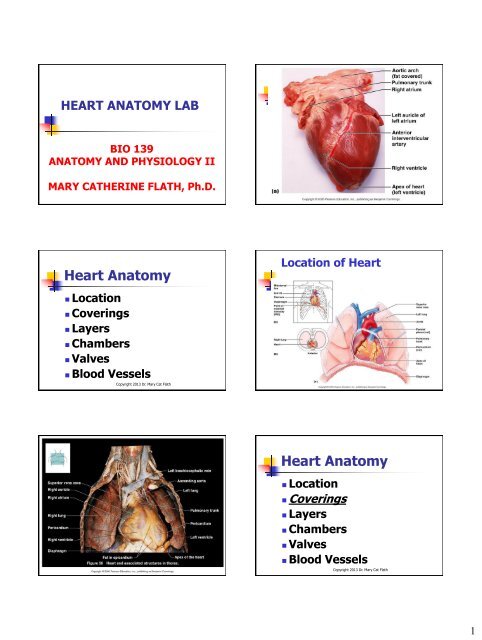 Heart Anatomy Lab PPT - PRINT
