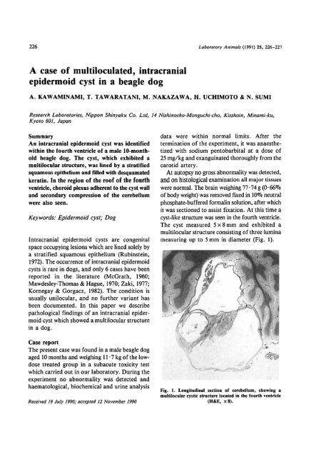 A case of muItiloculated, intracranial epidermoid cyst in a beagle dog