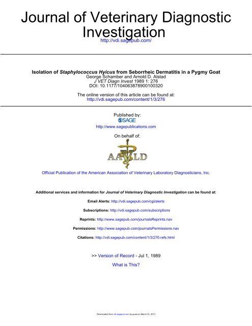 Isolation of Staphylococcus hyicus from seborrheic dermatitis in a ...