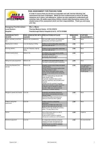 Falsework Risk Assessment Jan 07.pdf - CJ O'Shea (Plant Hire)