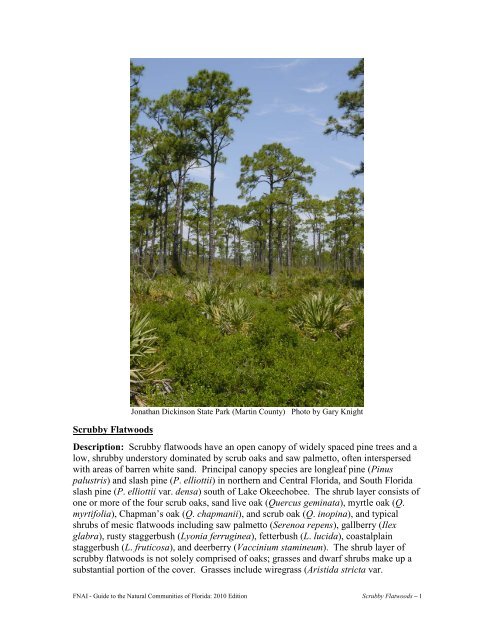 Scrubby Flatwoods - Florida Natural Areas Inventory