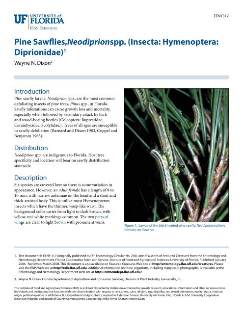 Pine Sawflies,Neodiprionspp. (Insecta: Hymenoptera: Diprionidae)1