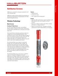 PoroMax® Premium Sand Control Screens - Halliburton