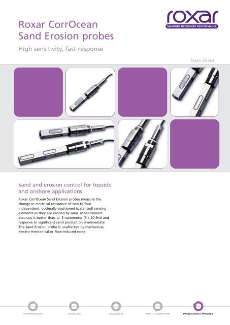 Roxar CorrOcean Sand Erosion probes - Emerson Process ...