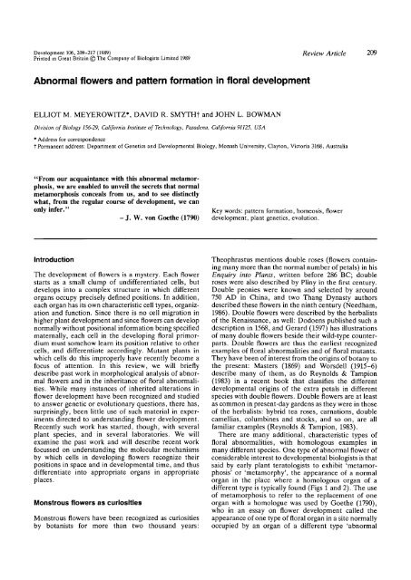 Abnormal flowers and pattern formation in floral development