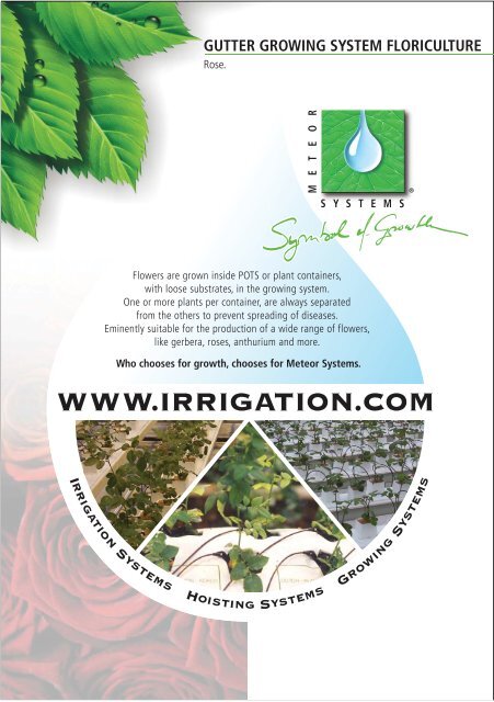 Rose - Meteor Systems