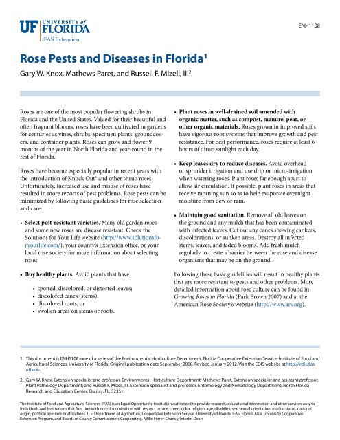 Rose Pests and Diseases in Florida1 - EDIS - University of Florida