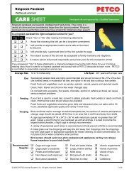 parakeet (budgie) care sheet - Petco
