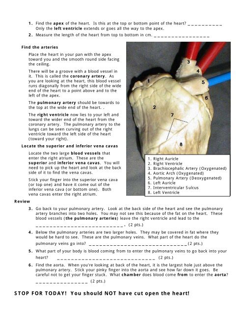 1. Find the apex of the h