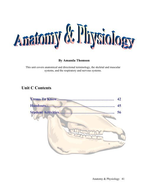 Anatomical Terminology Unit Anatomy And Physiology