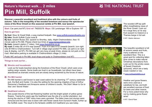 Pin Mill - Nature's Harvest - Walk4Life